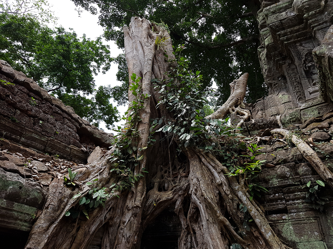 Temple expedition | HareeshClicks.Com