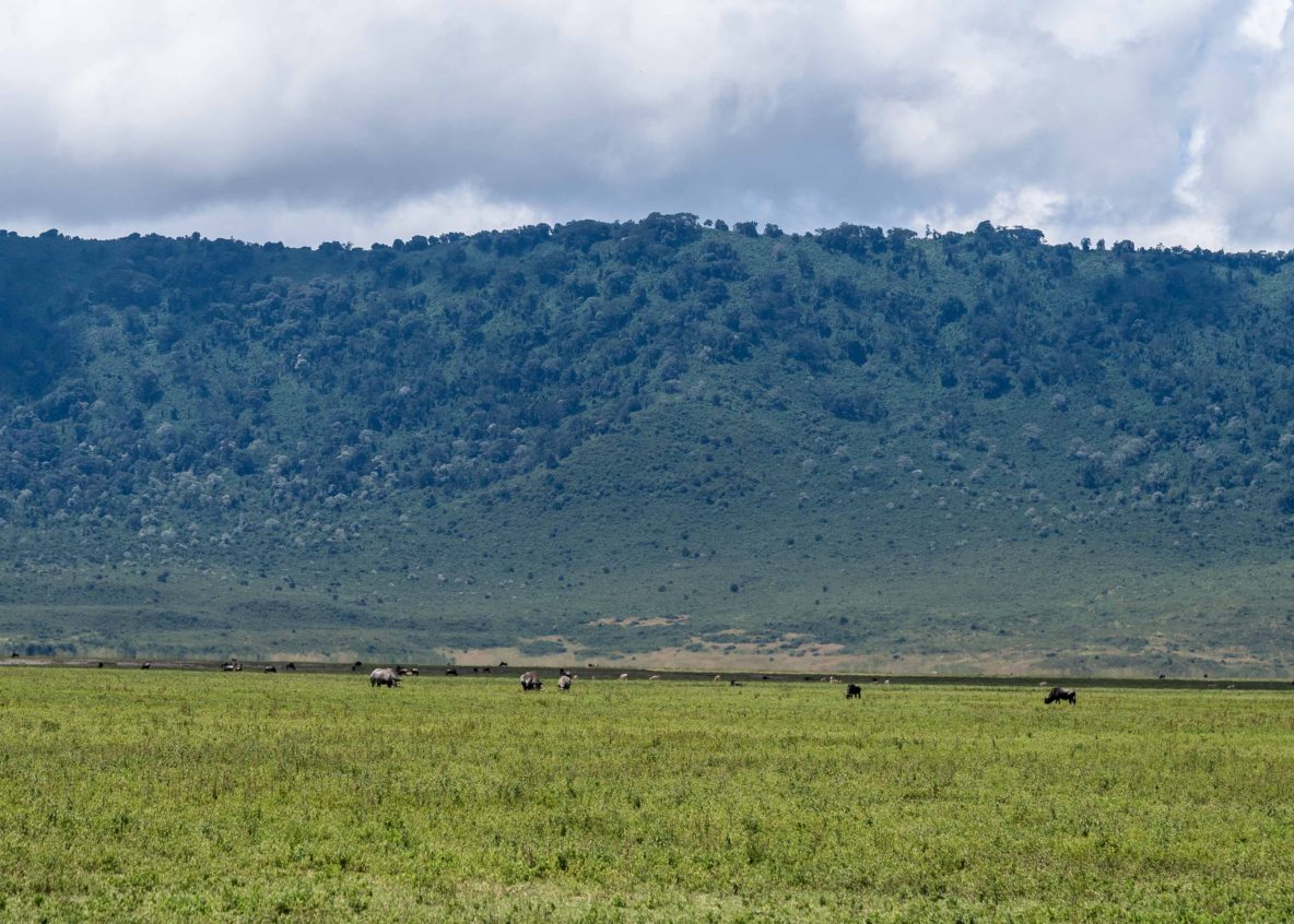 The marvelous Ngorongoro National Park | HareeshClicks.Com